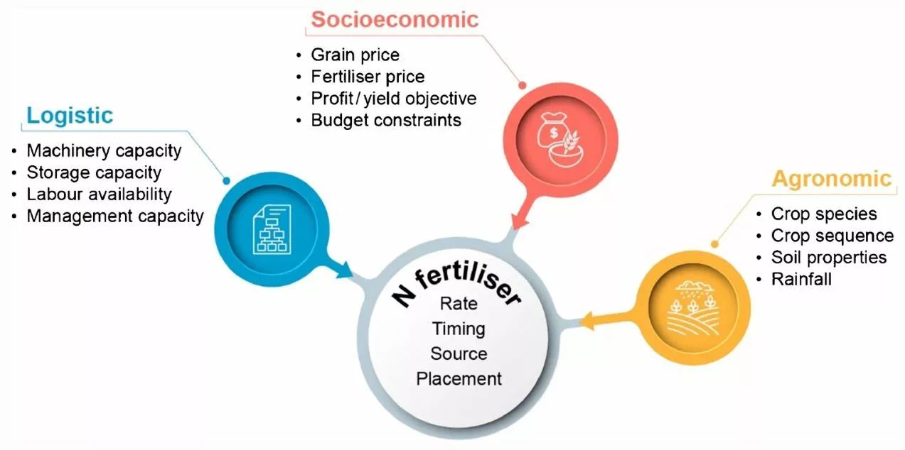 Agronomic factors are the dominant influence on nitrogen fertilizer ...